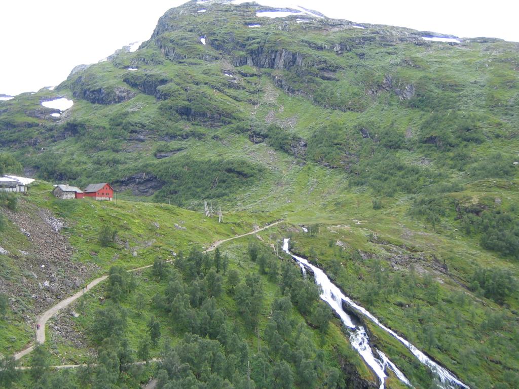 Img 0774